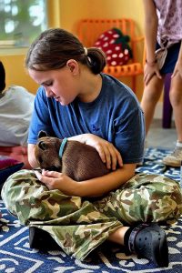 Suncoast Humane Society Launches HappyCapys Program - Englewood Review