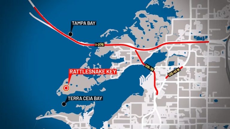 Plans Revealed for 300-Acre Cruise Port Beside Rattlesnake Key in ...