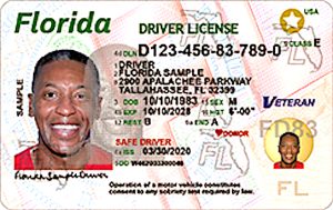 Show of State: Florida Driver's Licenses to Reveal Citizenship Status ...