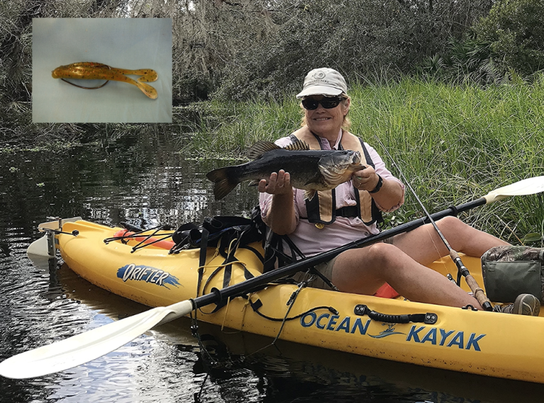 Bass, Bugs, Flowers and Frogs - Englewood Review
